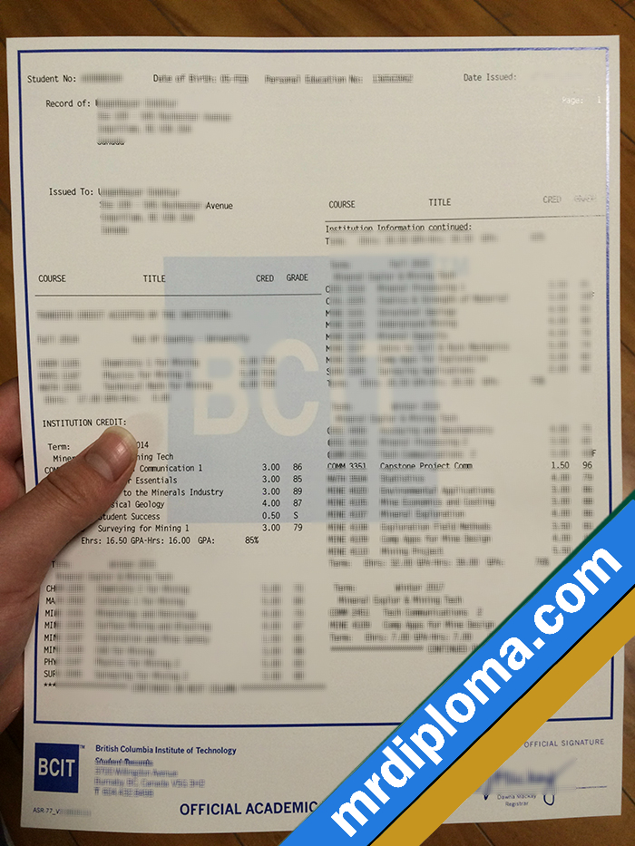 BCIT Custom Printable Transcript | Printable Diploma