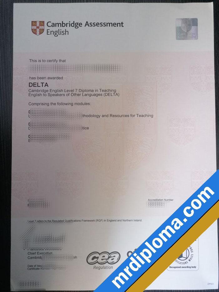Cambridge DELTA Custom Printable Certificate Sample | Printable Diploma