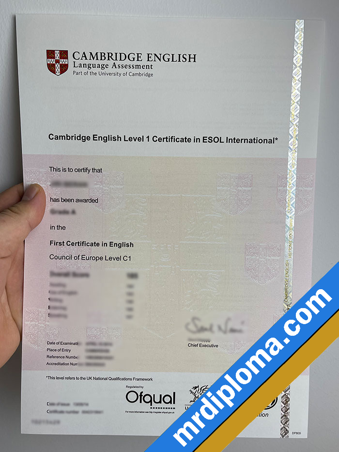 Cambridge ESOL Custom Printable Certificate Diploma | Printable Diploma