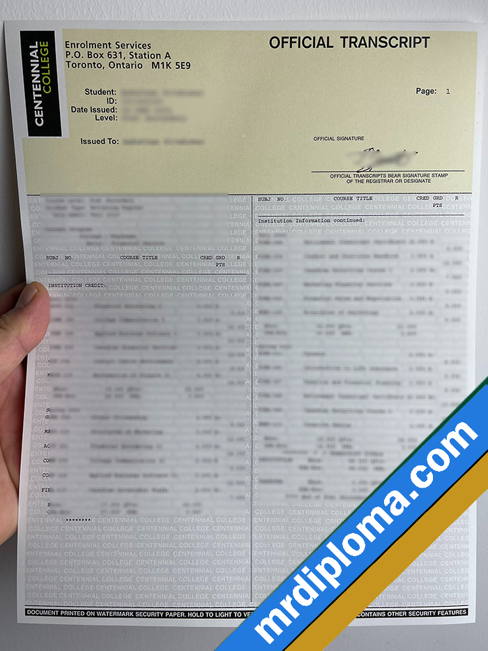 Centennial College Custom Printable Diploma Transcript | Printable Diploma
