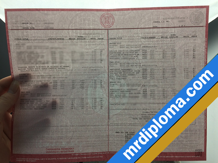 Cornell University Custom Printable Transcript | Printable Diploma