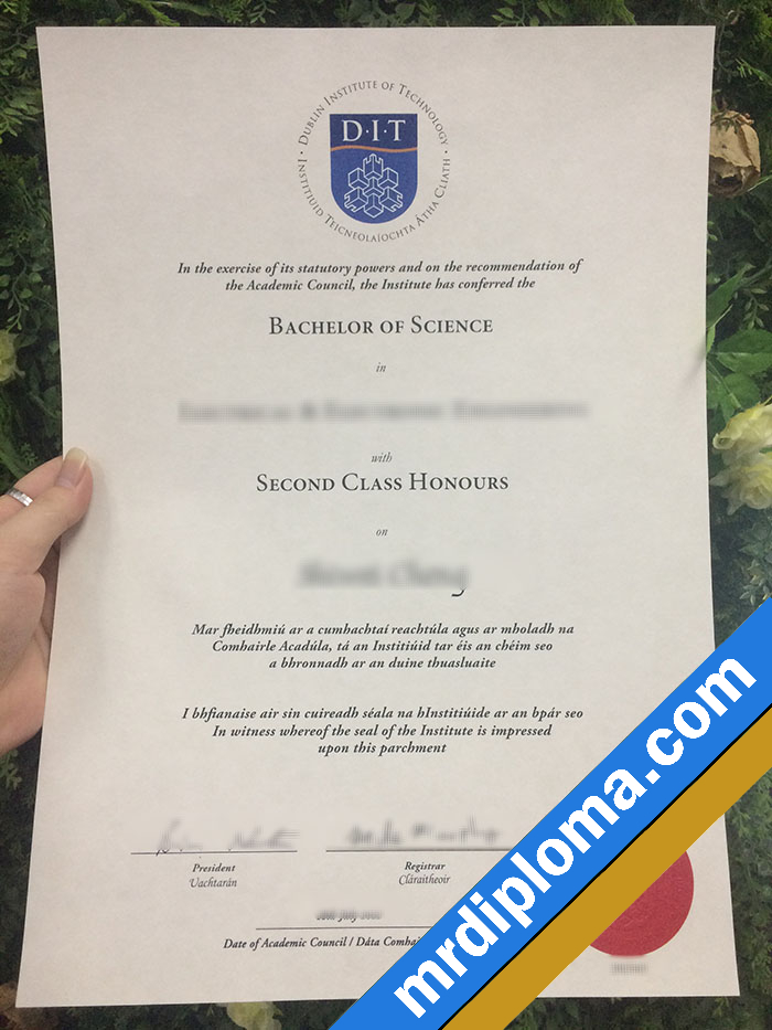 Dublin Institute of Technology (DIT) Custom Printable Diploma ...
