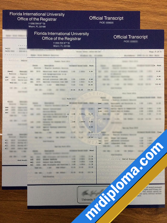 Florida International University Custom Printable Transcript ...