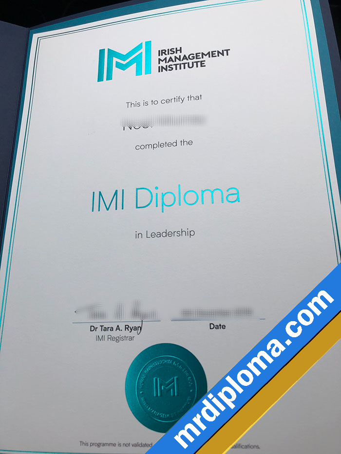 Irish Management Institute Custom Printable Diploma | Printable Diploma