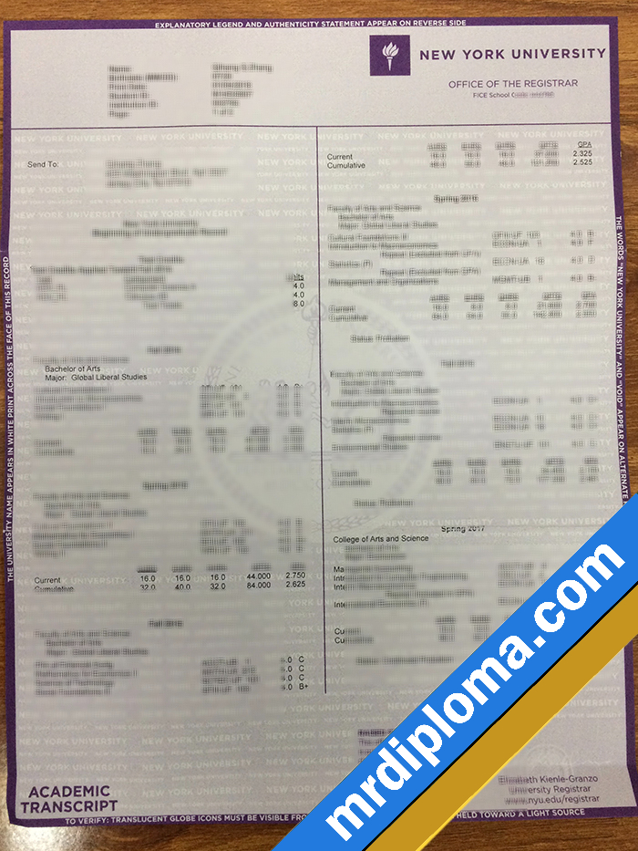 New York University (NYU) Custom Printable Transcript Diploma ...