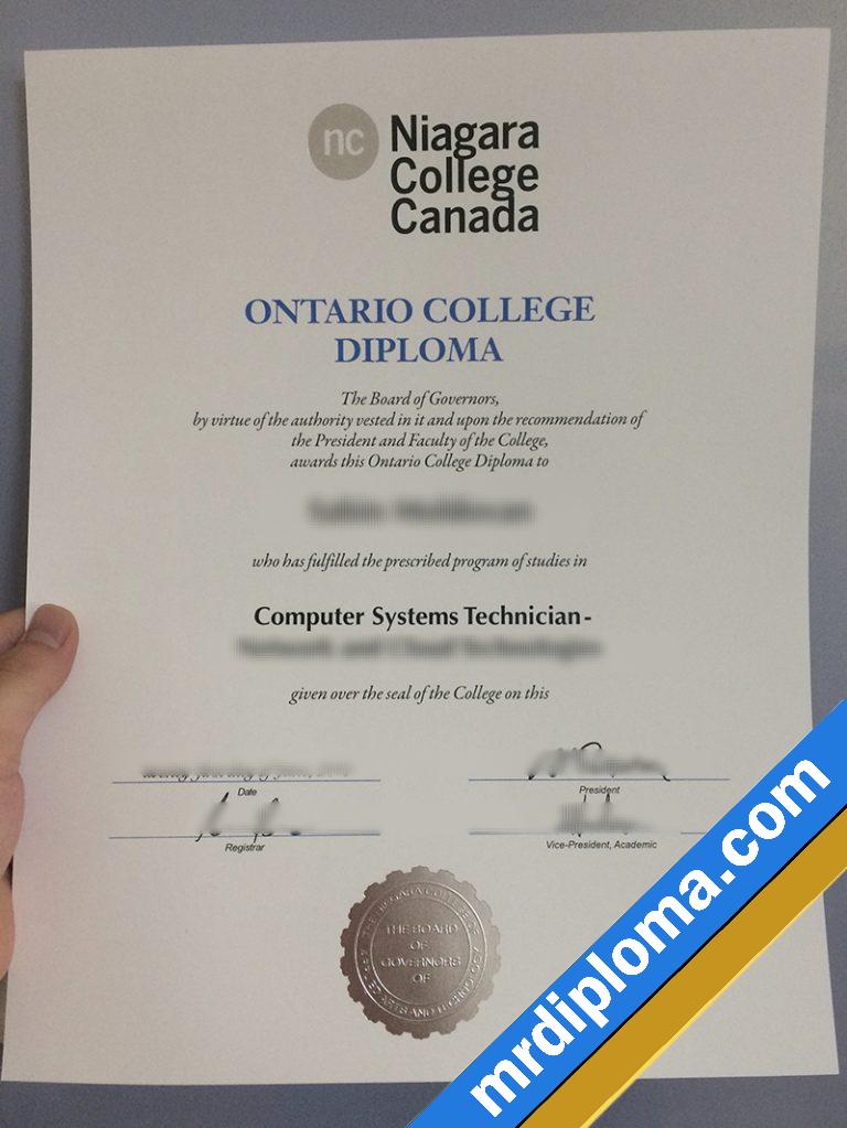 Niagara College Custom Printable Diploma | Printable Diploma