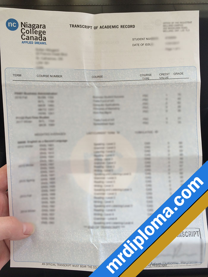 Niagara College Custom Printable Transcript Sample | Printable Diploma