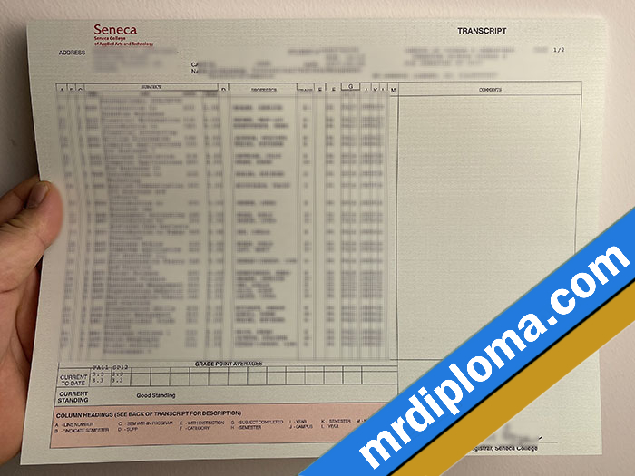 Seneca College Custom Printable Transcript Diploma | Printable Diploma