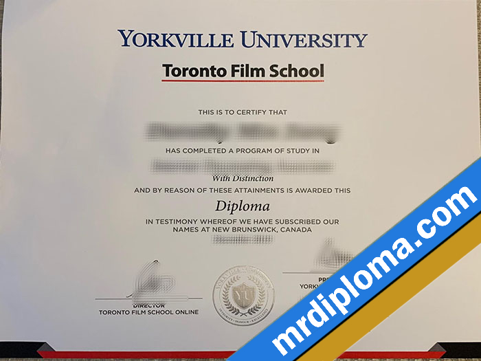 Toronto Film School Custom Printable Diploma Certificate | Printable ...