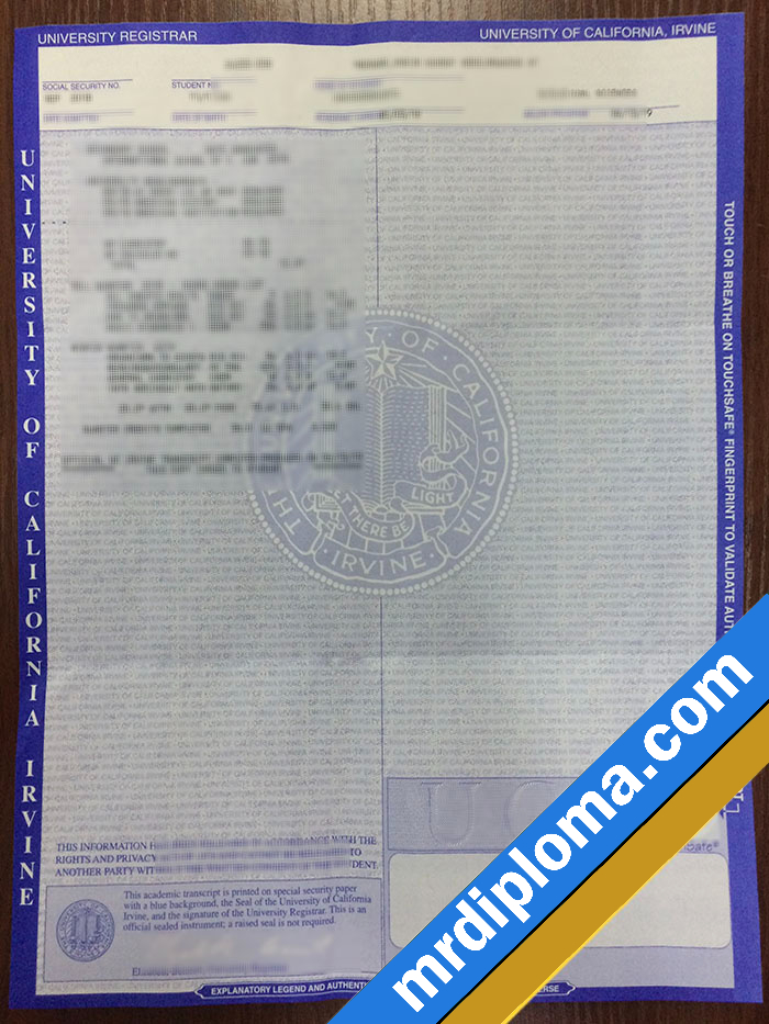 UC Irvine Custom Printable Transcript | Printable Diploma