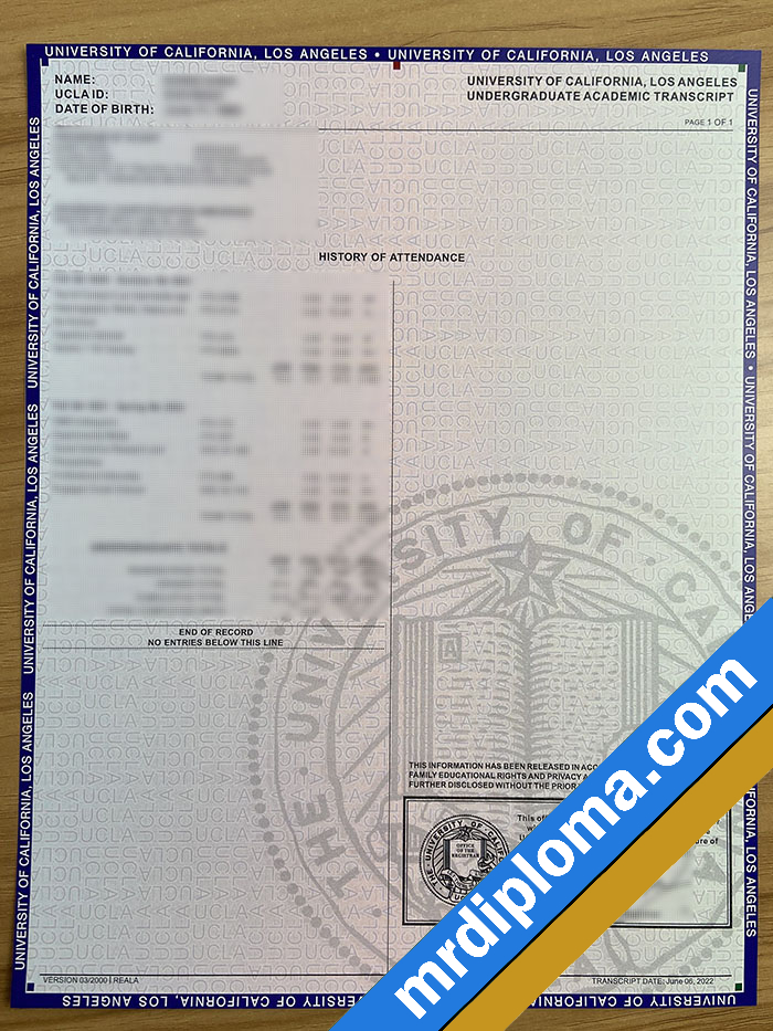 UCLA Custom Printable Transcript Diploma | Printable Diploma