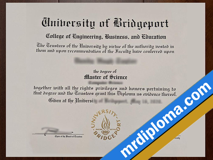 University of Bridgeport Custom Printable Diploma | Printable Diploma