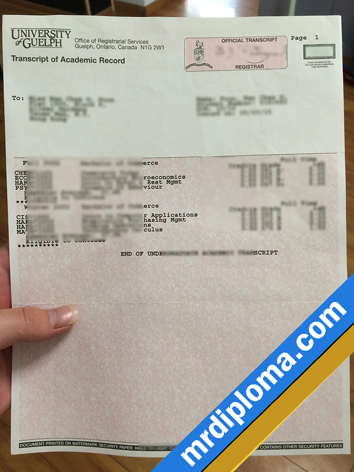 University of Guelph Custom Printable Transcript | Printable Diploma