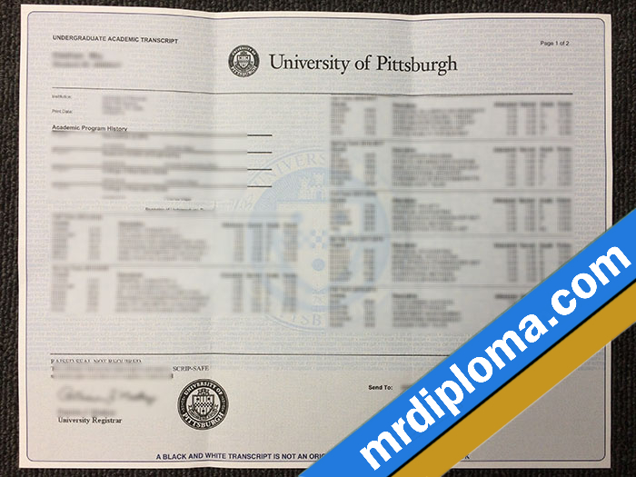 University of Pittsburgh Custom Printable Transcript Diploma ...