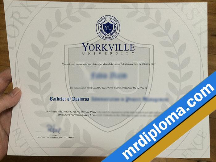 Yorkville University Custom Printable Degree Certificate | Printable Diploma